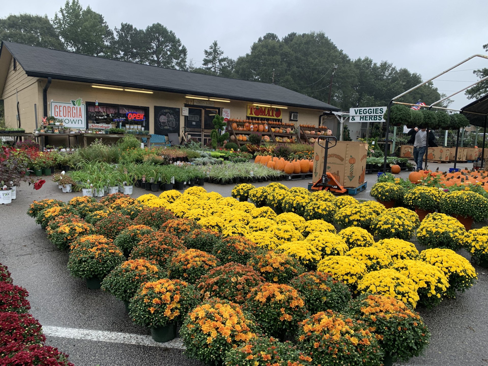 Henry County's Only Nursery | Proven Winners | McDonough, GA