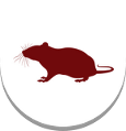 Fidelity Exterminating | Pest Control | Nederland, TX