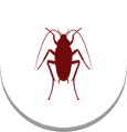 Fidelity Exterminating | Pest Control | Nederland, TX