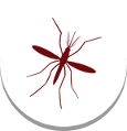 Fidelity Exterminating | Pest Control | Nederland, TX