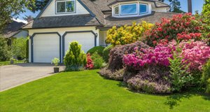 Landscape Design Tree Planting Schertz Tx