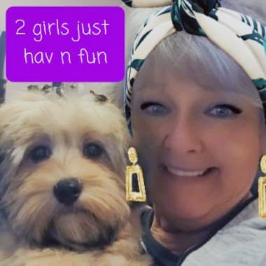 About Pawsitively Paradise Pet Resort | Angola, IN Pet Care