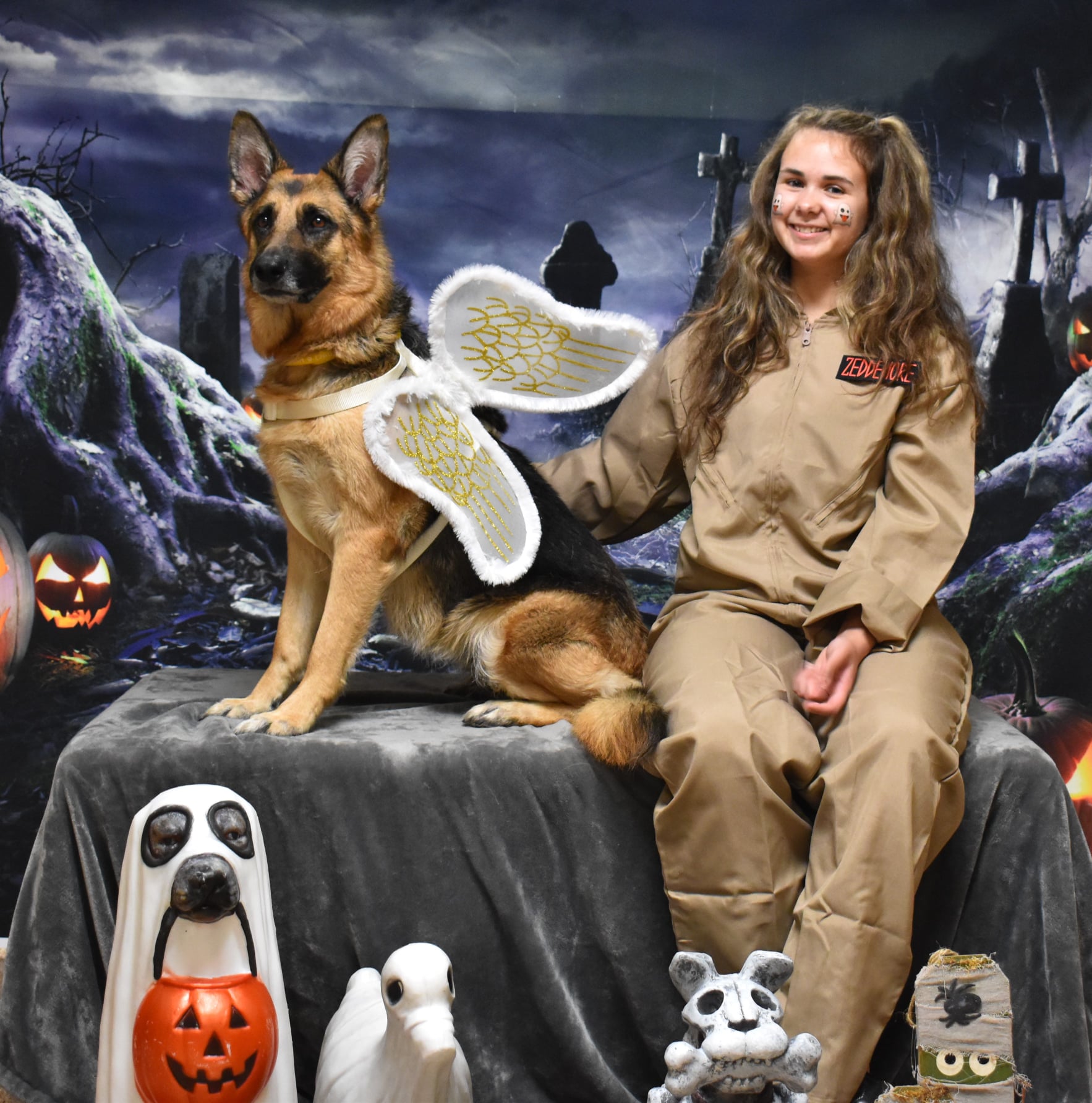 Pawsitively Paradise Pet Resort Photo Gallery | Angola, IN