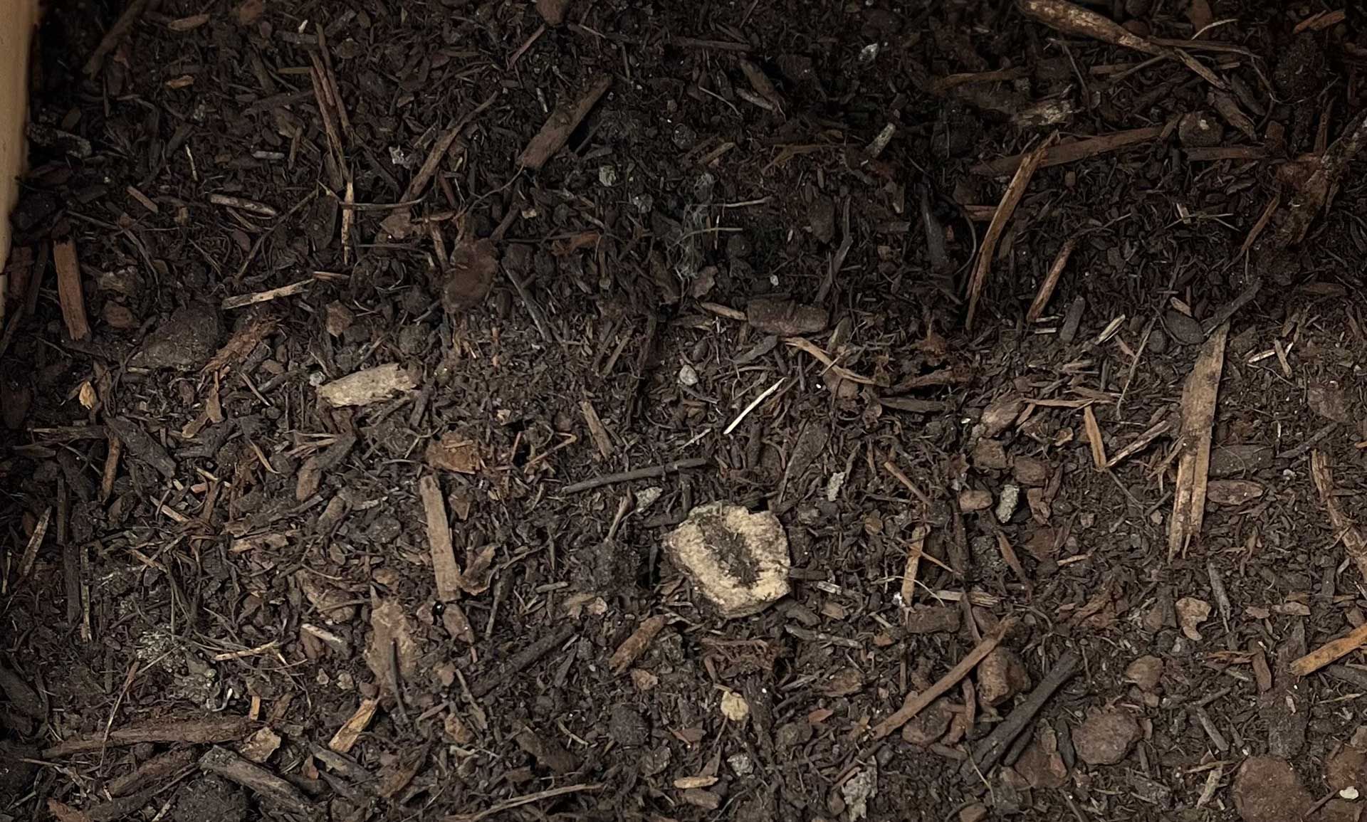 Landscape Mulching Lynden, WA | Windwood Enterprises