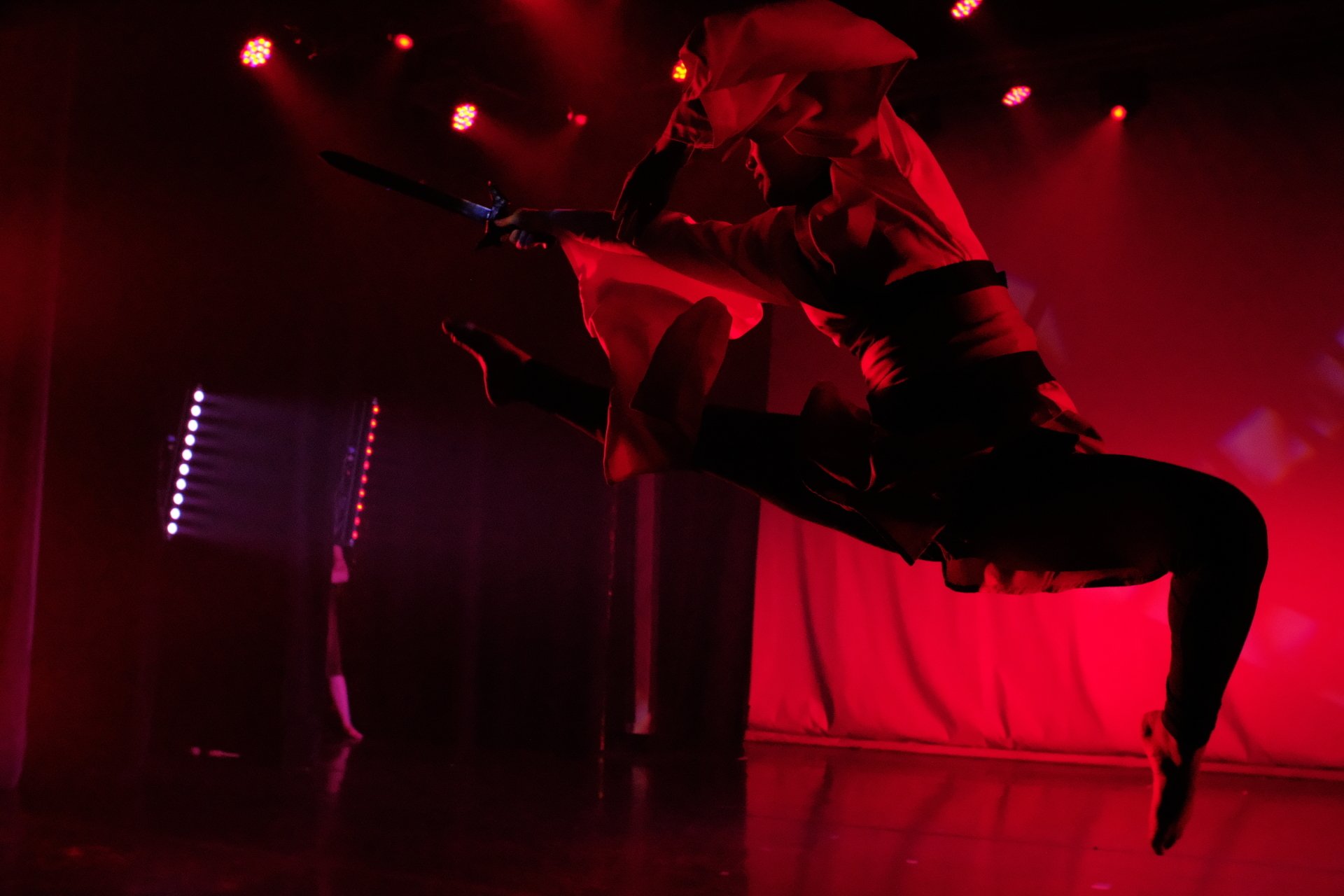 RISPA | Performing Arts School | Milton, GA