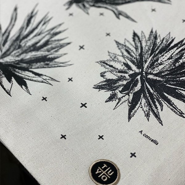 Our Work Gallery | Classy Screens NYC