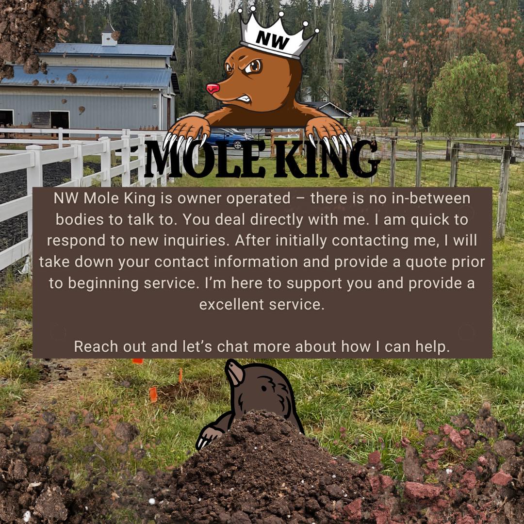 Project Gallery | NW Mole King