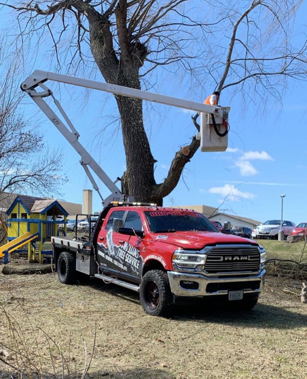 Tree Care Services | William's Tree Service | Baraboo, WI