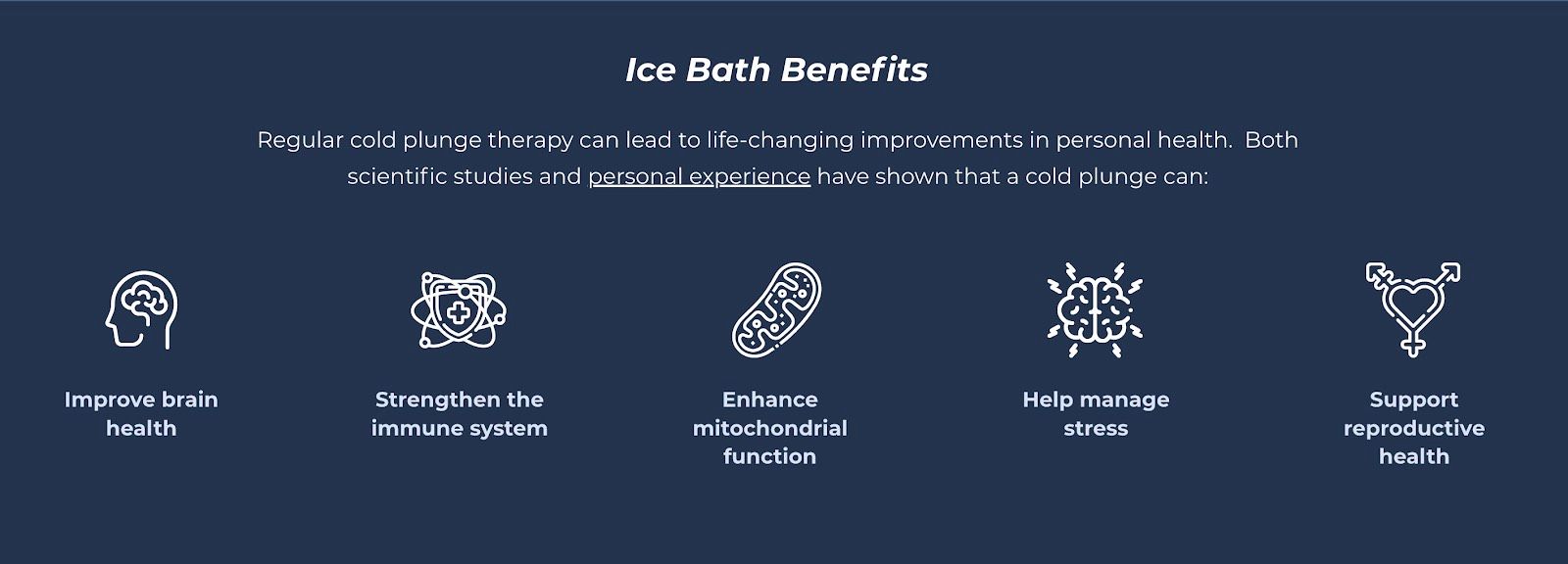 St. Louis Strength Academy | Strength Training | St. Louis MO