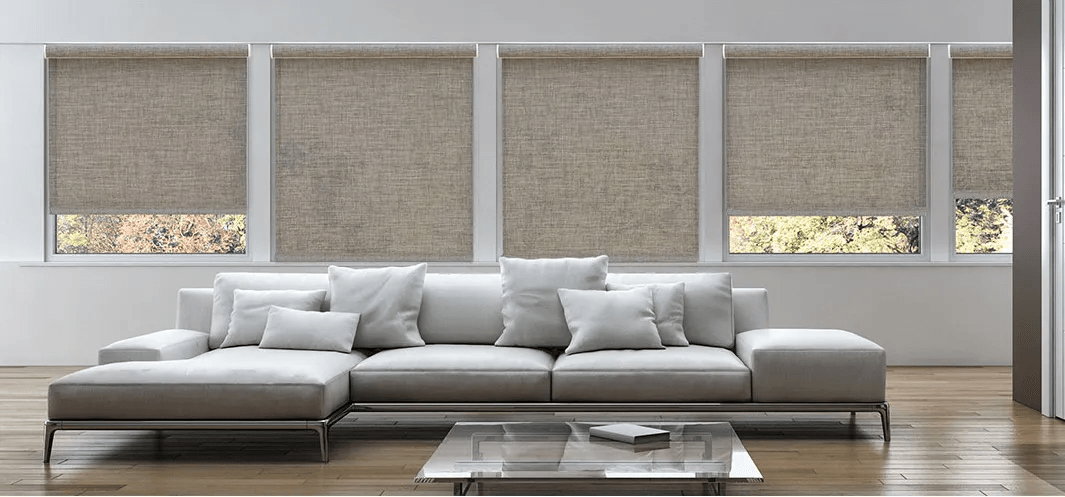 Roll-Up Sheer and Blackout Shades | Chula Vista, CA
