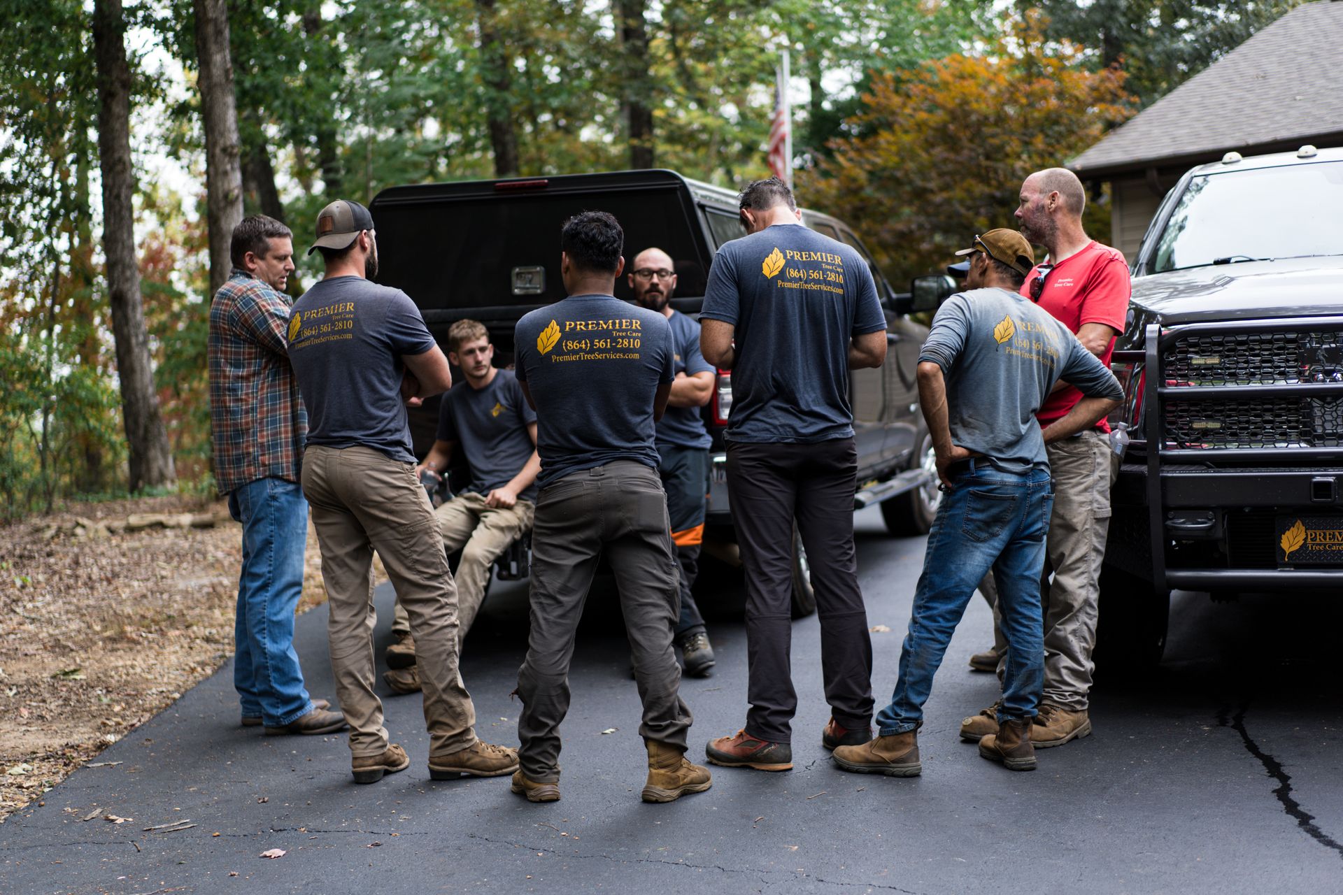 Gallery | Premier Tree Care LLC