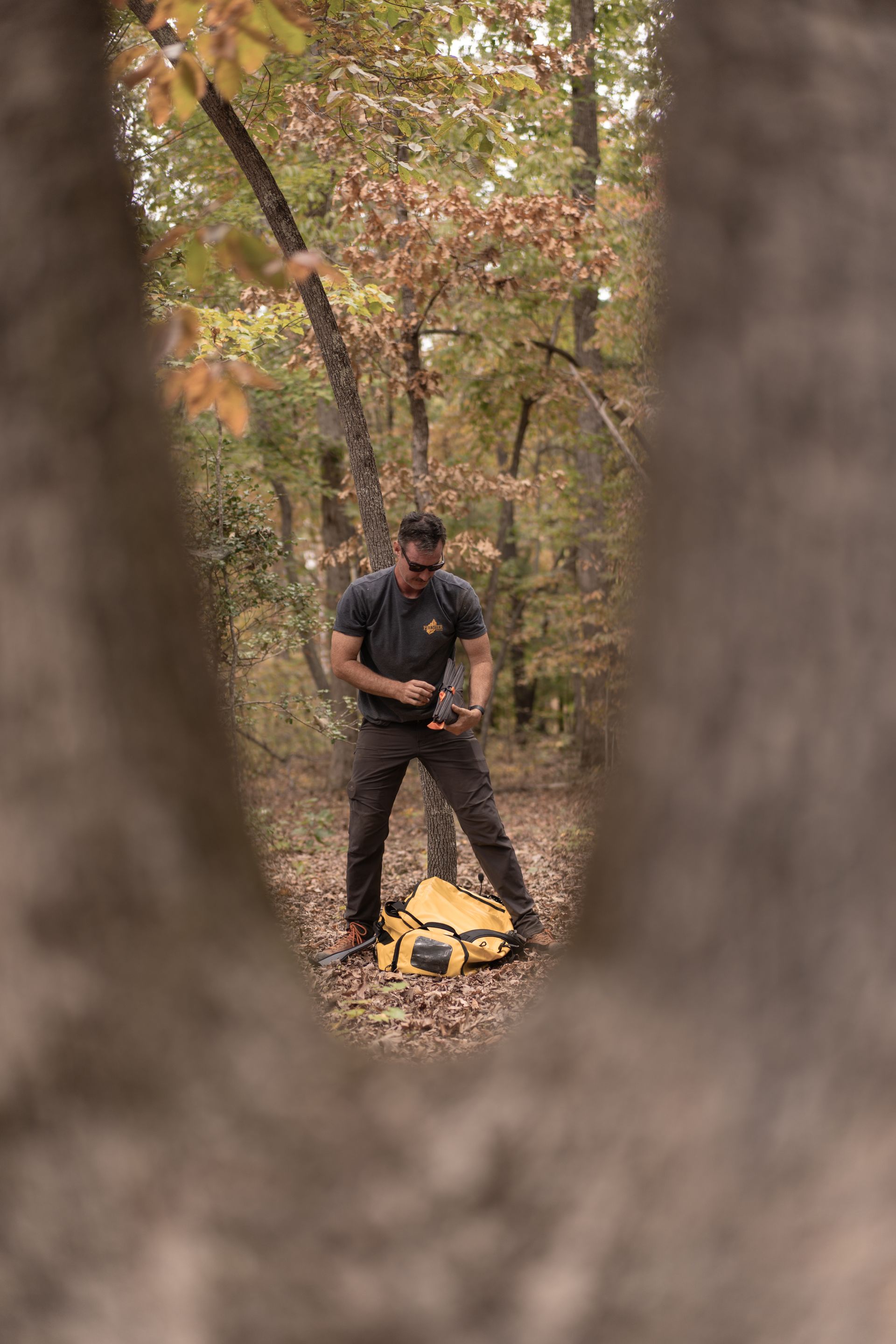 Gallery | Premier Tree Care LLC