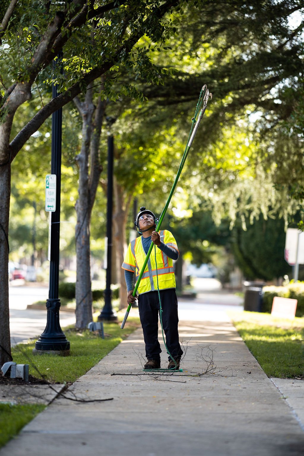 Gallery | Premier Tree Care LLC