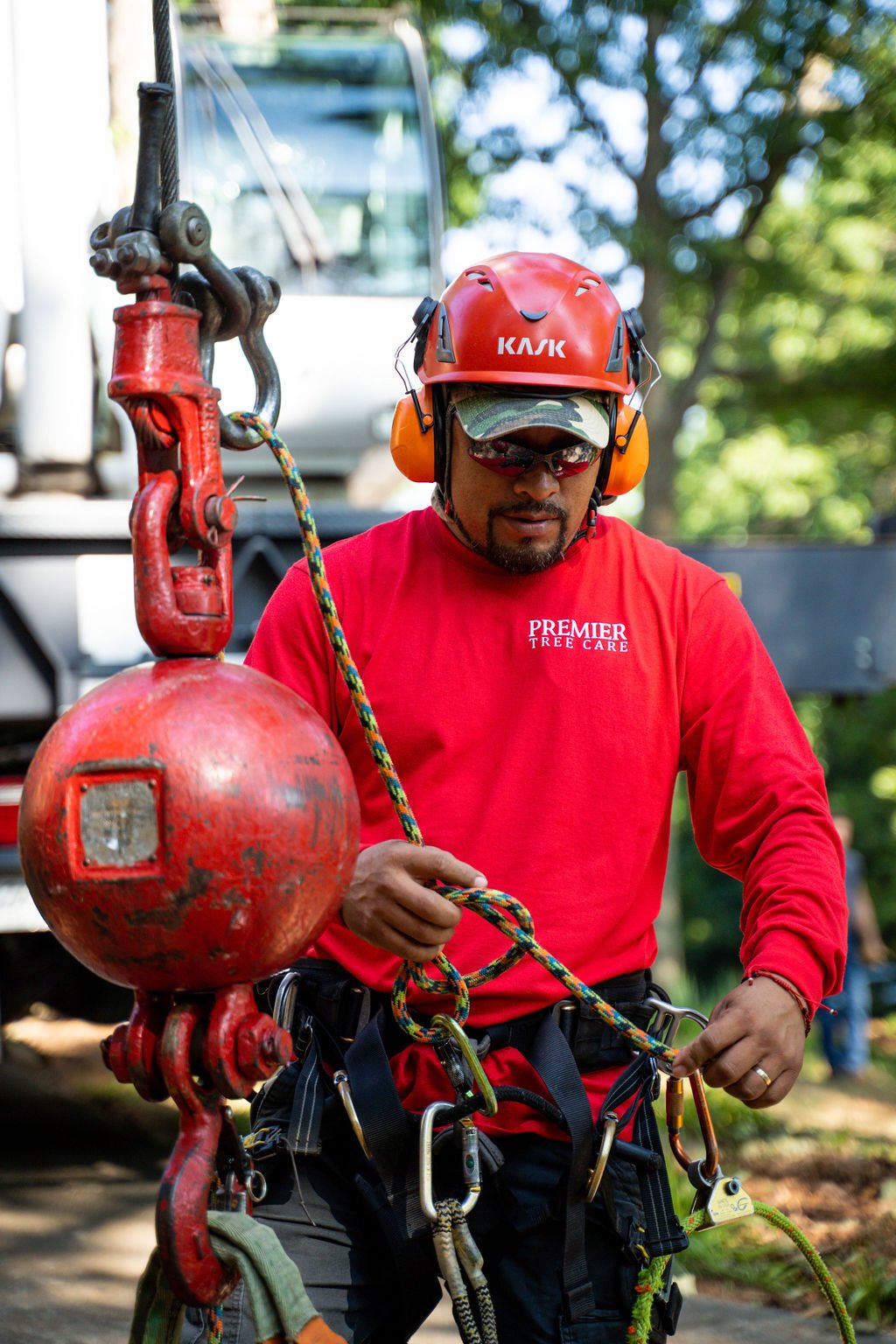 Gallery | Premier Tree Care LLC