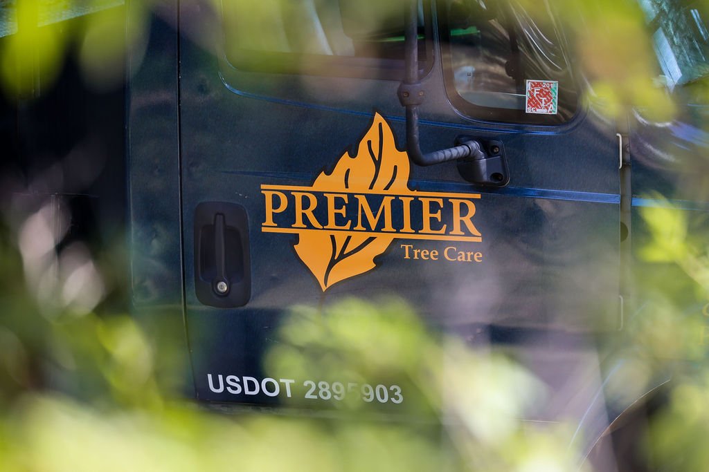 Gallery | Premier Tree Care LLC