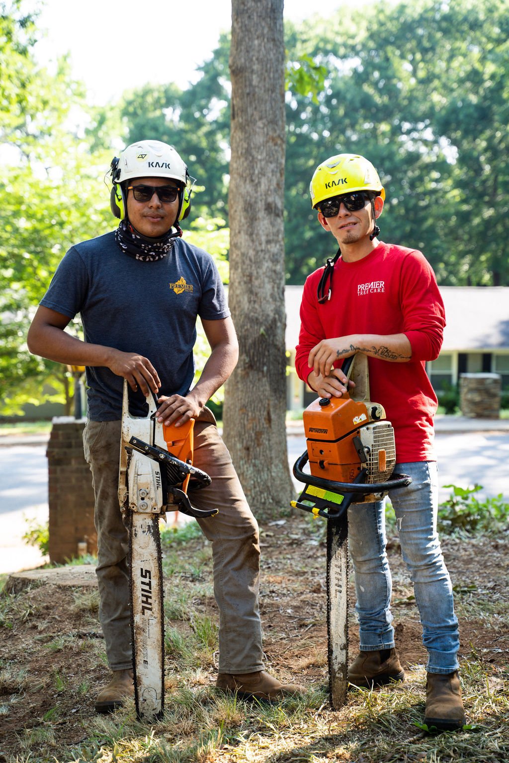 Gallery | Premier Tree Care LLC
