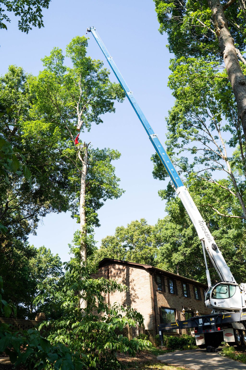 Gallery | Premier Tree Care LLC