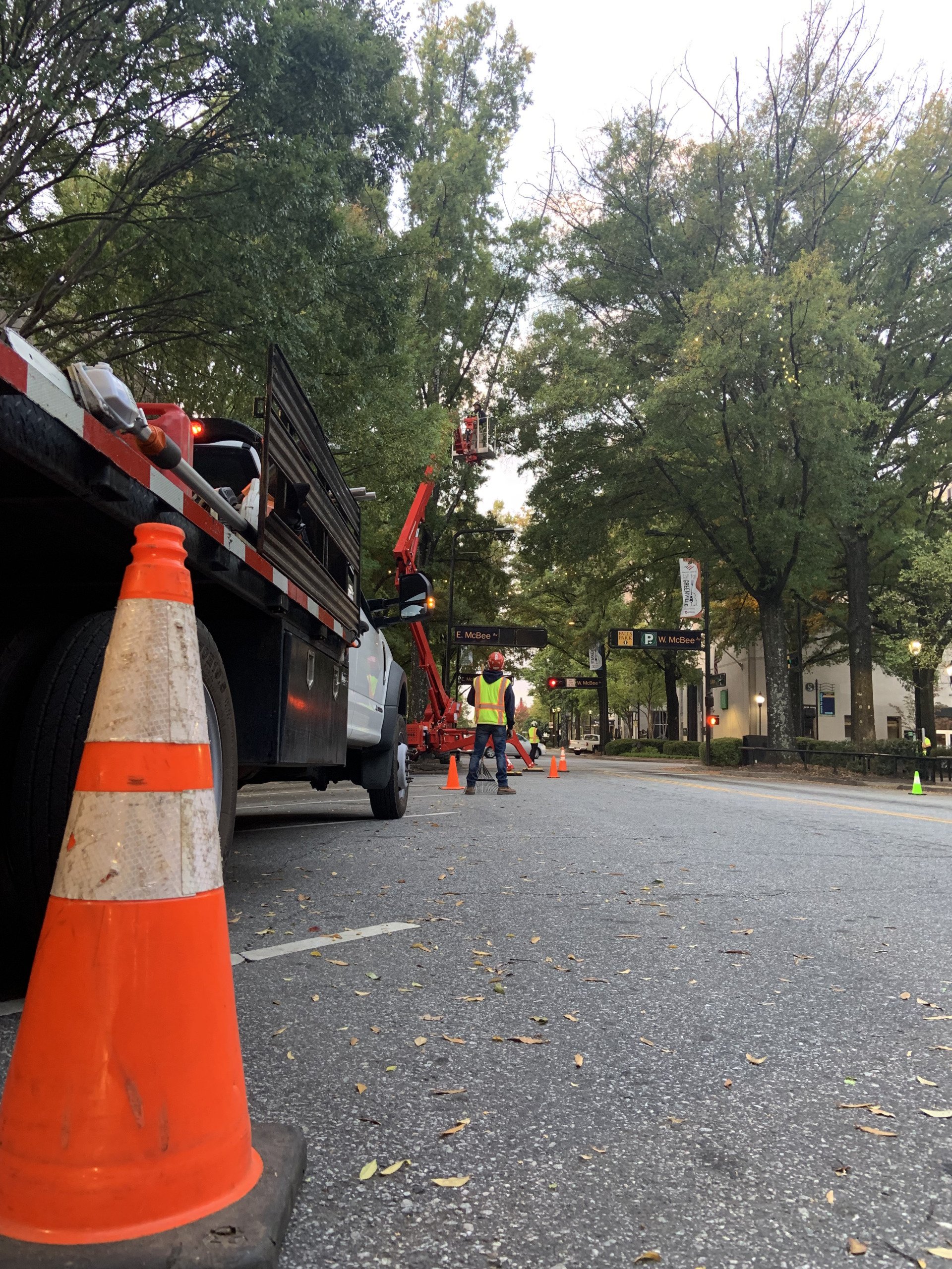 Gallery | Premier Tree Care LLC