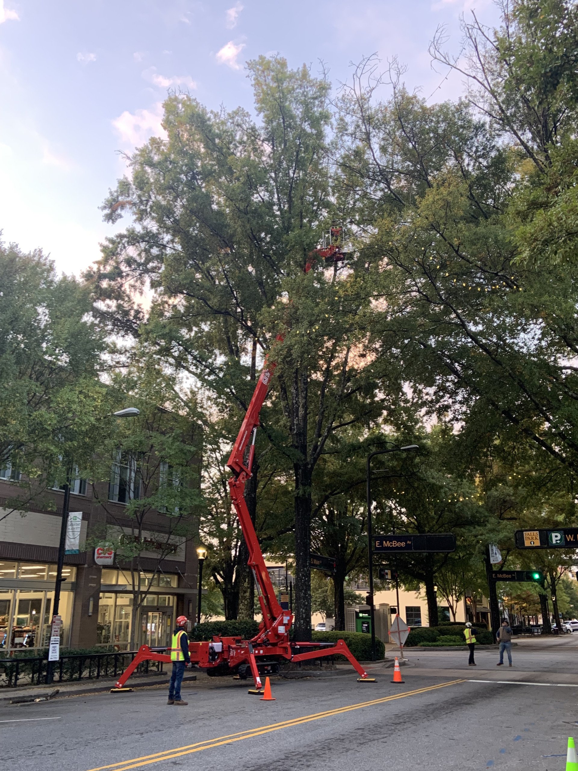 Gallery | Premier Tree Care LLC