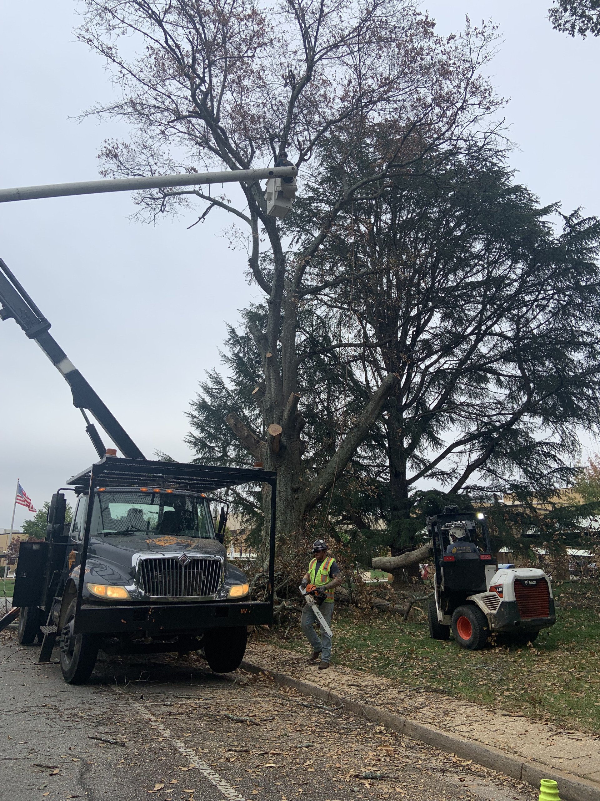 Gallery | Premier Tree Care LLC