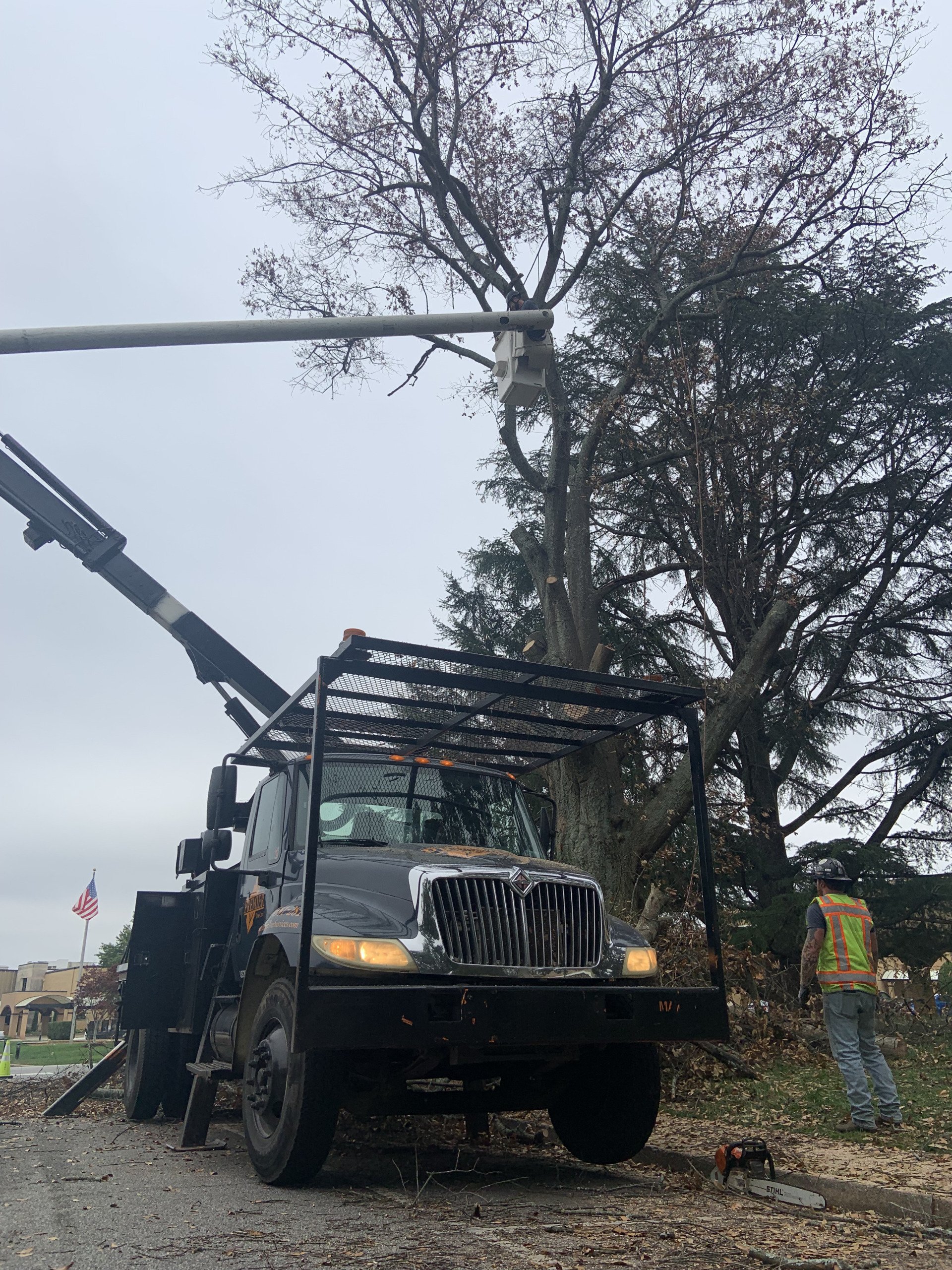 Gallery | Premier Tree Care LLC