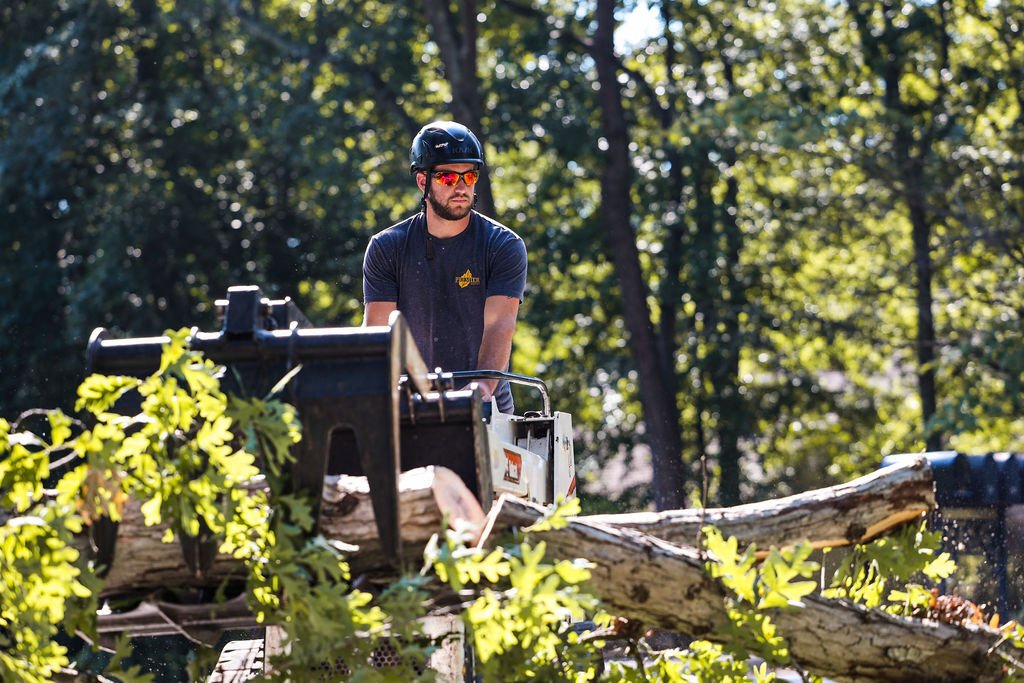 Gallery | Premier Tree Care LLC