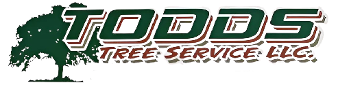 Contact | Todd's Tree Service | Colchester, CT Area