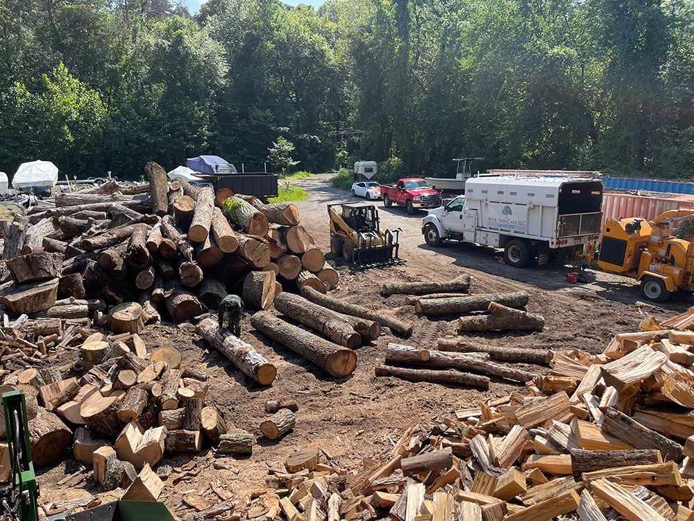 Firewood | Elite Tree Care | Anne Arundel County, MD