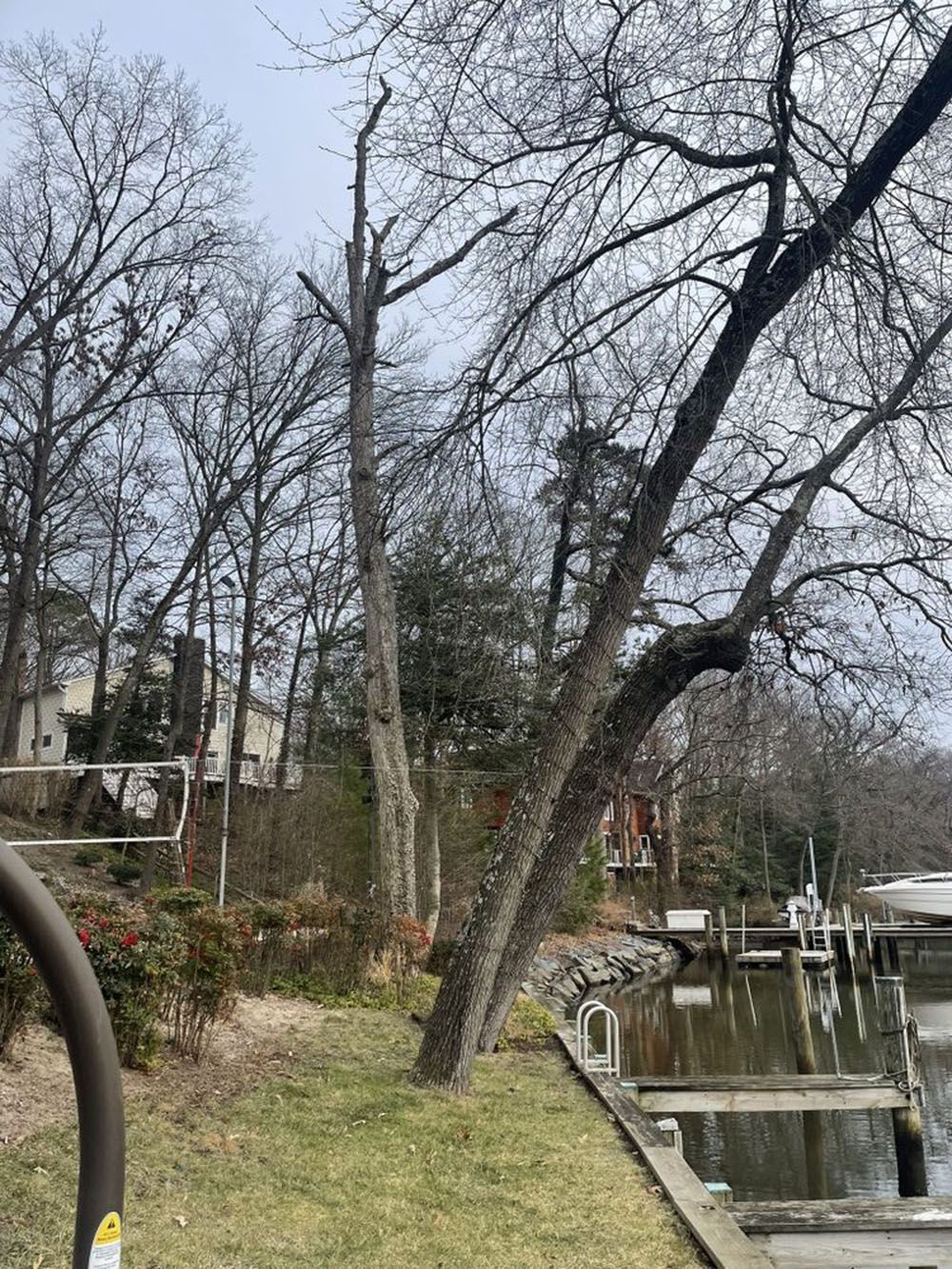 Tree Removal | Elite Tree Care | Anne Arundel County, MD