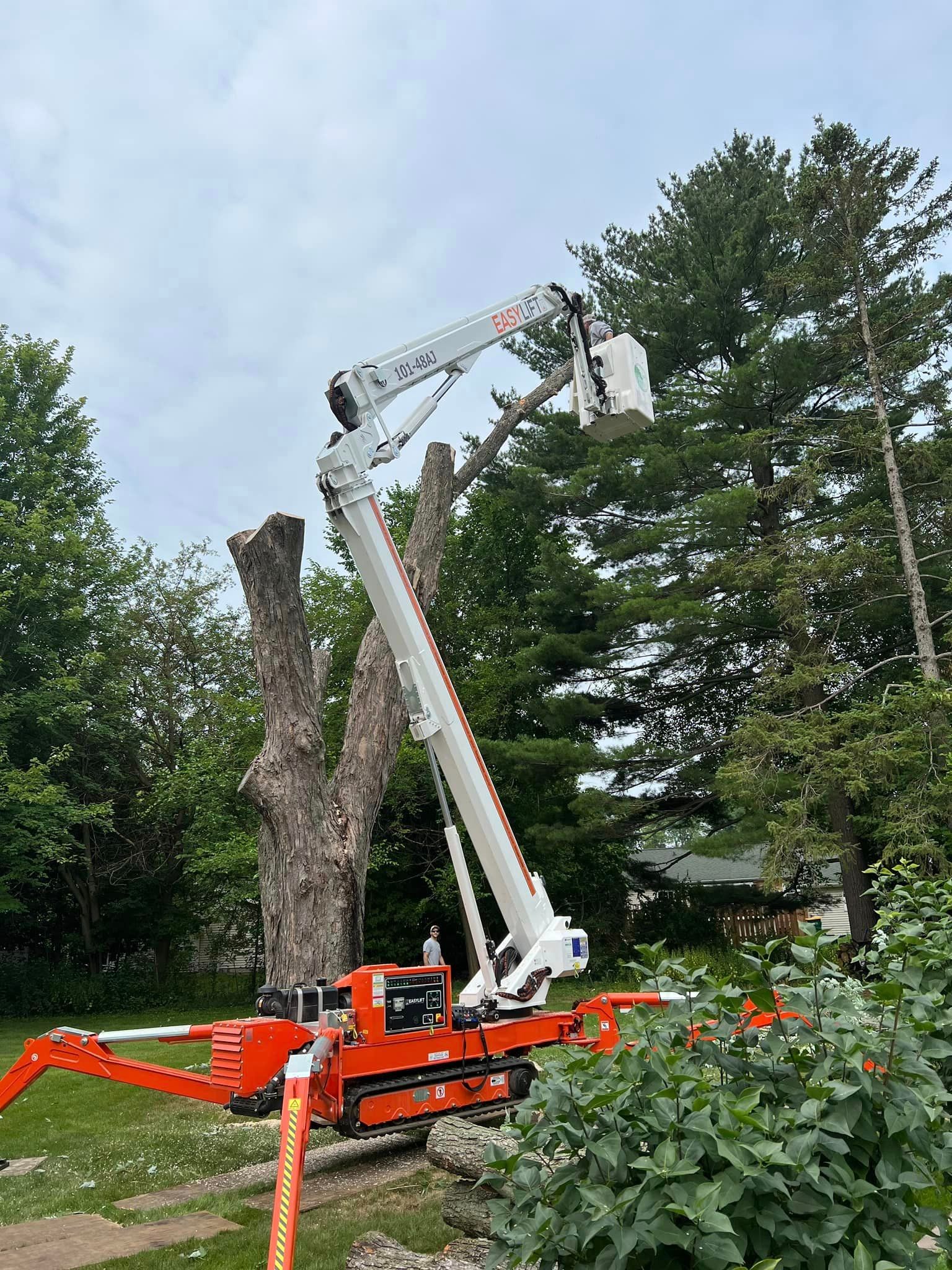 Miller's Tree Service | Tree Removal | NE WI & Upper Peninsula