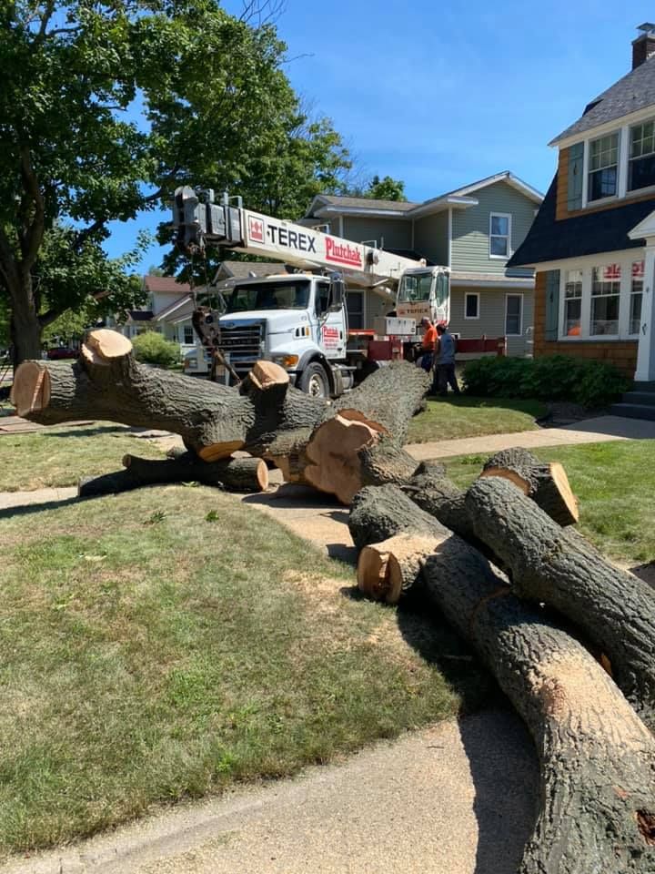 Miller's Tree Service | Tree Removal | NE WI & Upper Peninsula