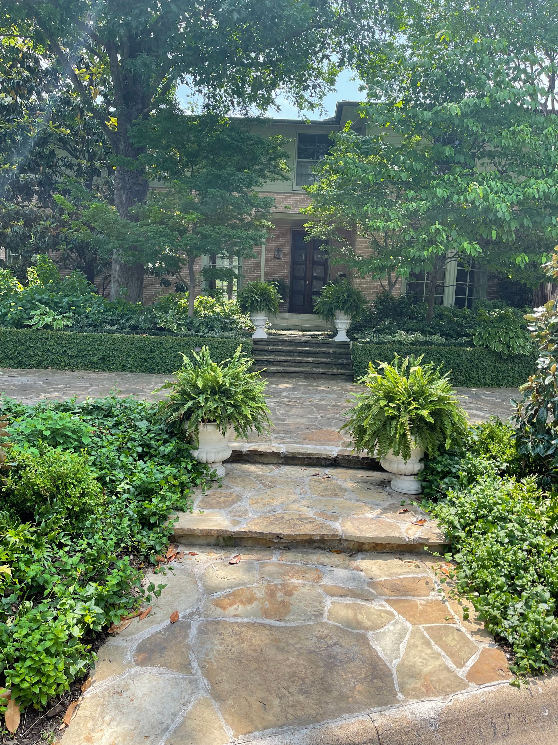 Trees and Shrubs | Brumley Gardens, Dallas, TX