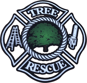 Tree Arborist St Petersburg, FL | Tree Rescue, LLC
