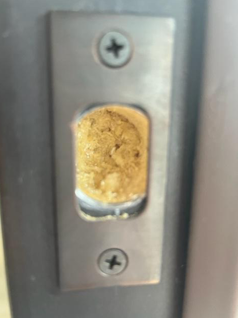 What is the Durango Premium Door Series | Fort Worth, TX