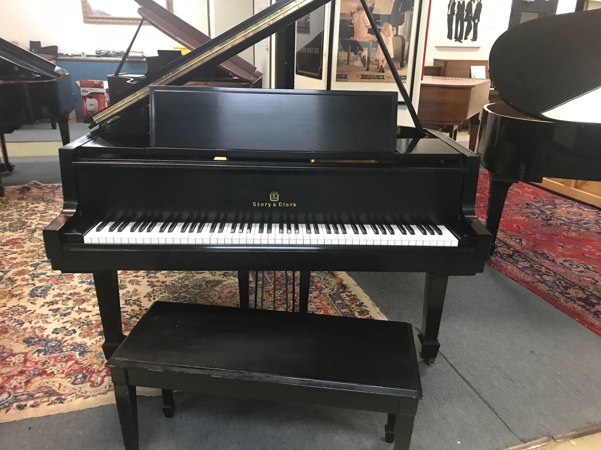 Mason & Hamlin Grand Pianos Gallery | BHA Piano Center