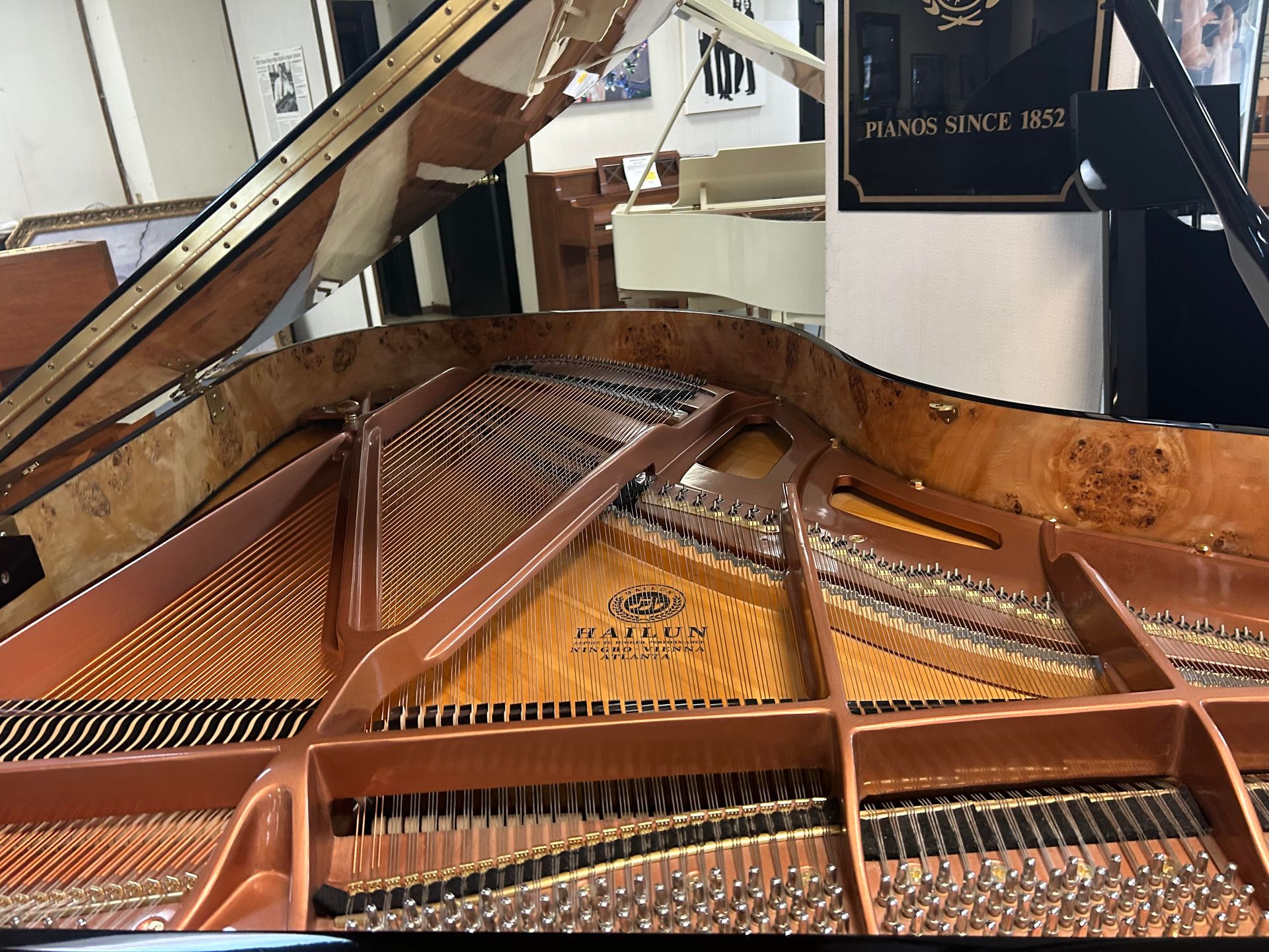 Hailun Grand Pianos | Used Grand Pianos | BHA Piano Center