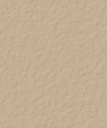 Color and Stamps | Middle Tennessee