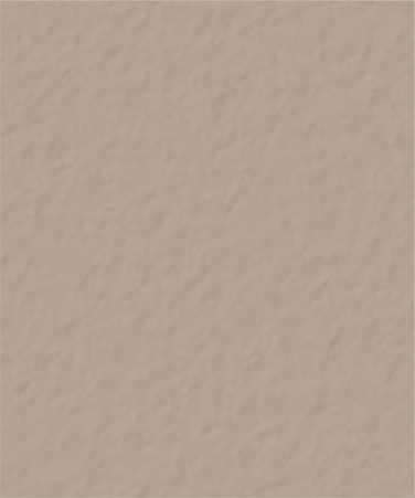 Color and Stamps | Middle Tennessee