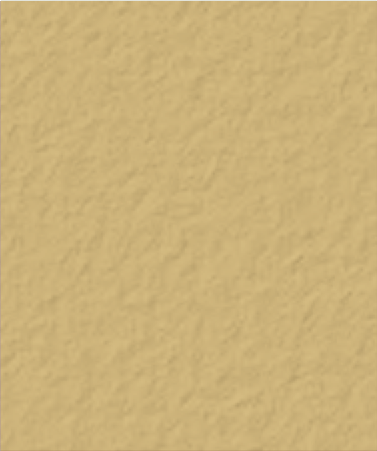 Color and Stamps | Middle Tennessee