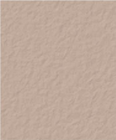 Color and Stamps | Middle Tennessee