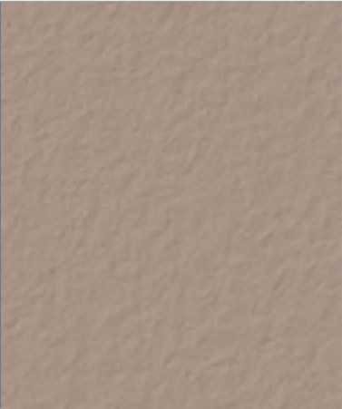 Color and Stamps | Middle Tennessee