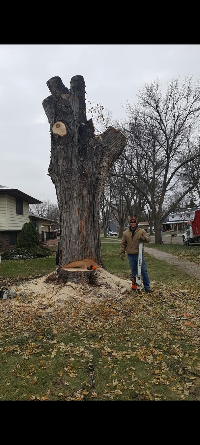 Tyler’s Tree Service | Arborist | West Fargo, ND