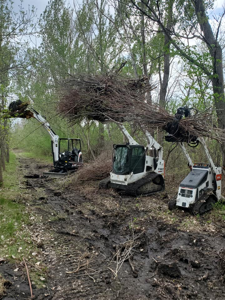 Tyler’s Tree Service | Arborist | West Fargo, ND