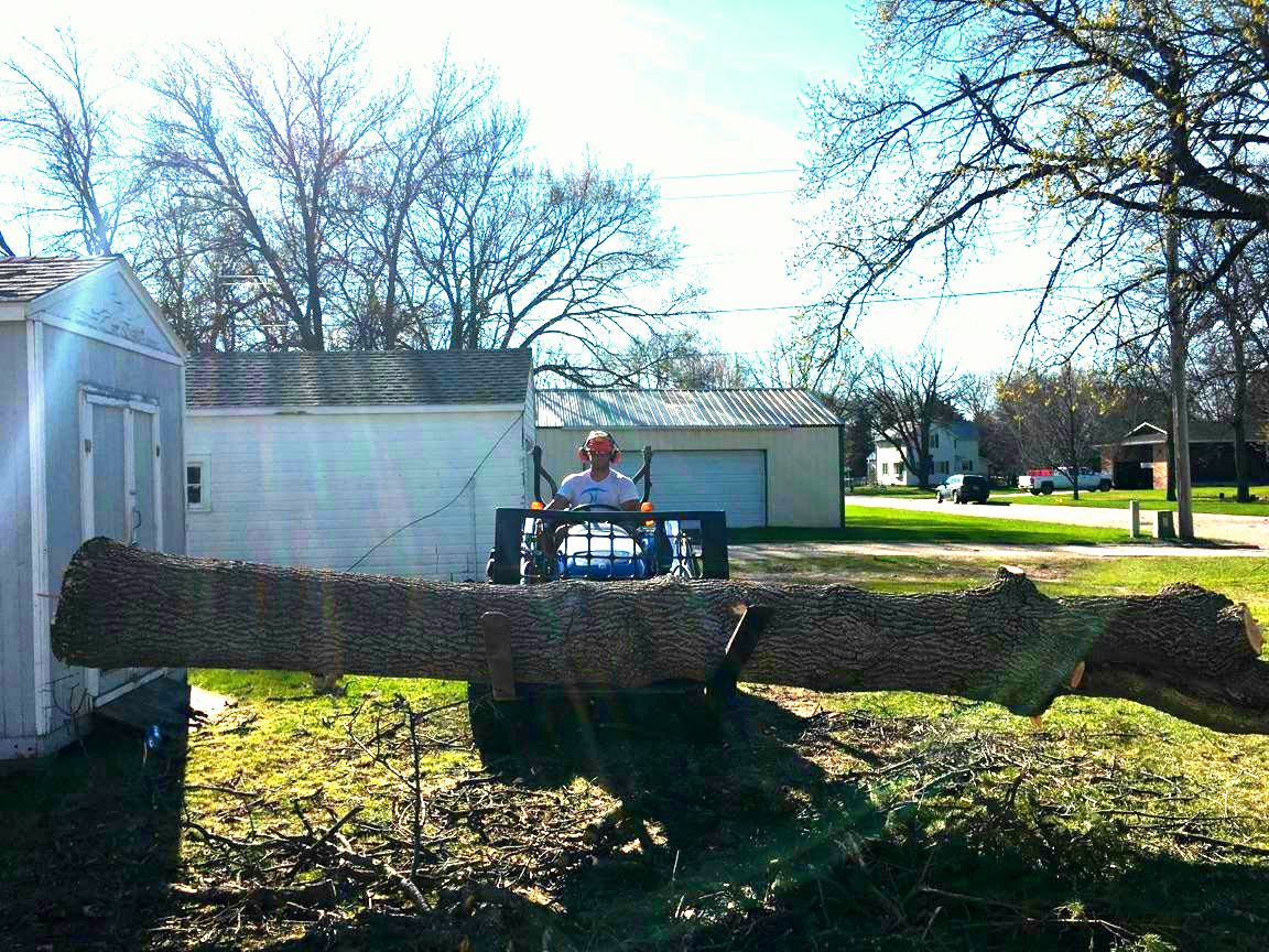 Tyler’s Tree Service | Arborist | West Fargo, ND