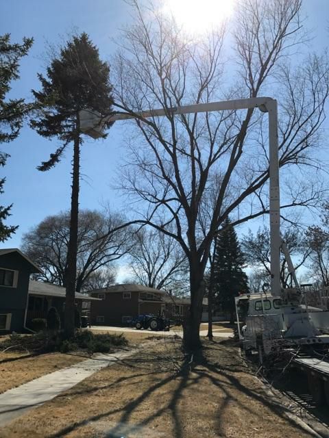 Tyler’s Tree Service | Arborist | West Fargo, ND