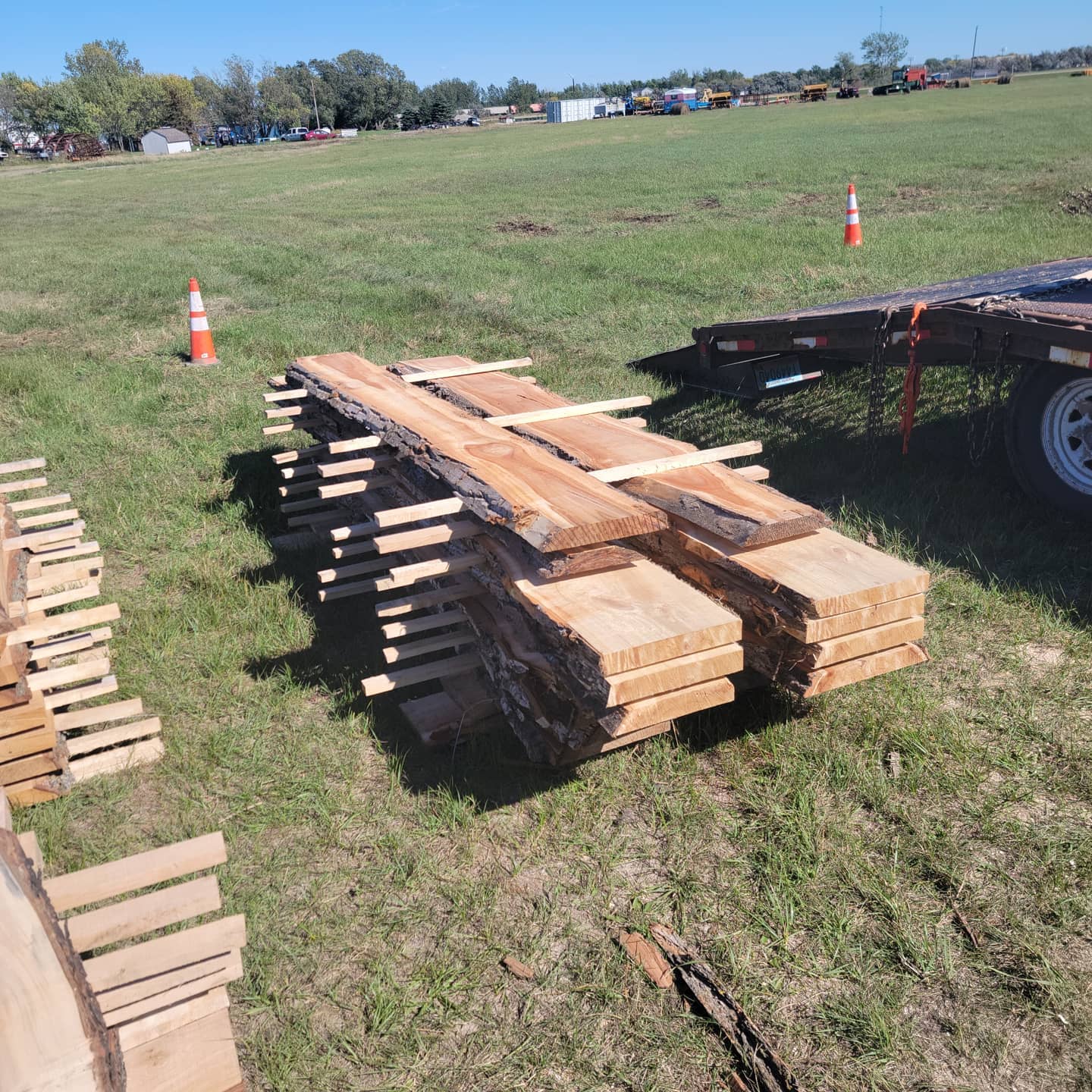 Tyler’s Tree Service | Arborist | West Fargo, ND