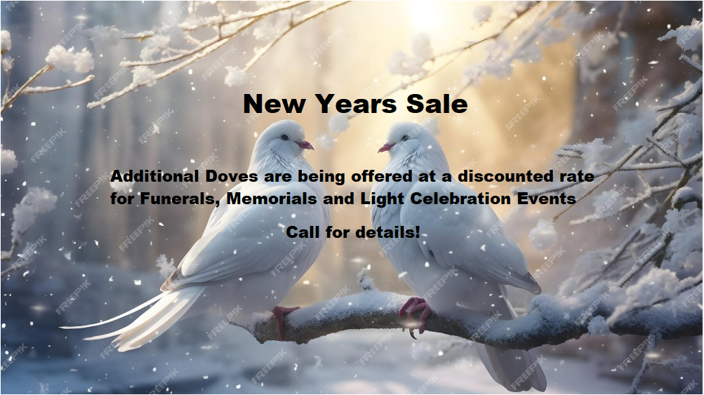 Dove Release Services | White Dove Events, LLC | Marlton, NJ