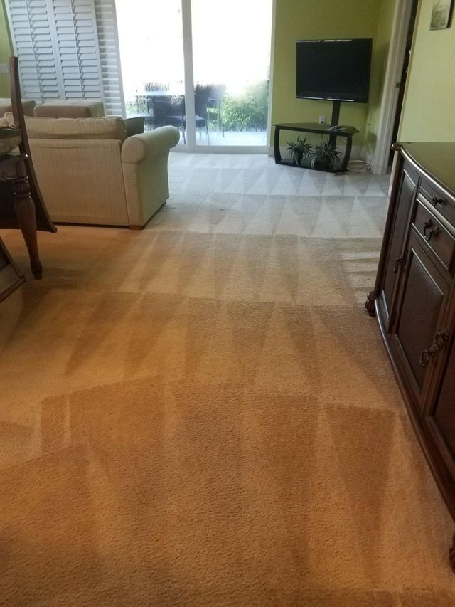 Work Gallery | Captain Steamer Professional Steam Cleaner