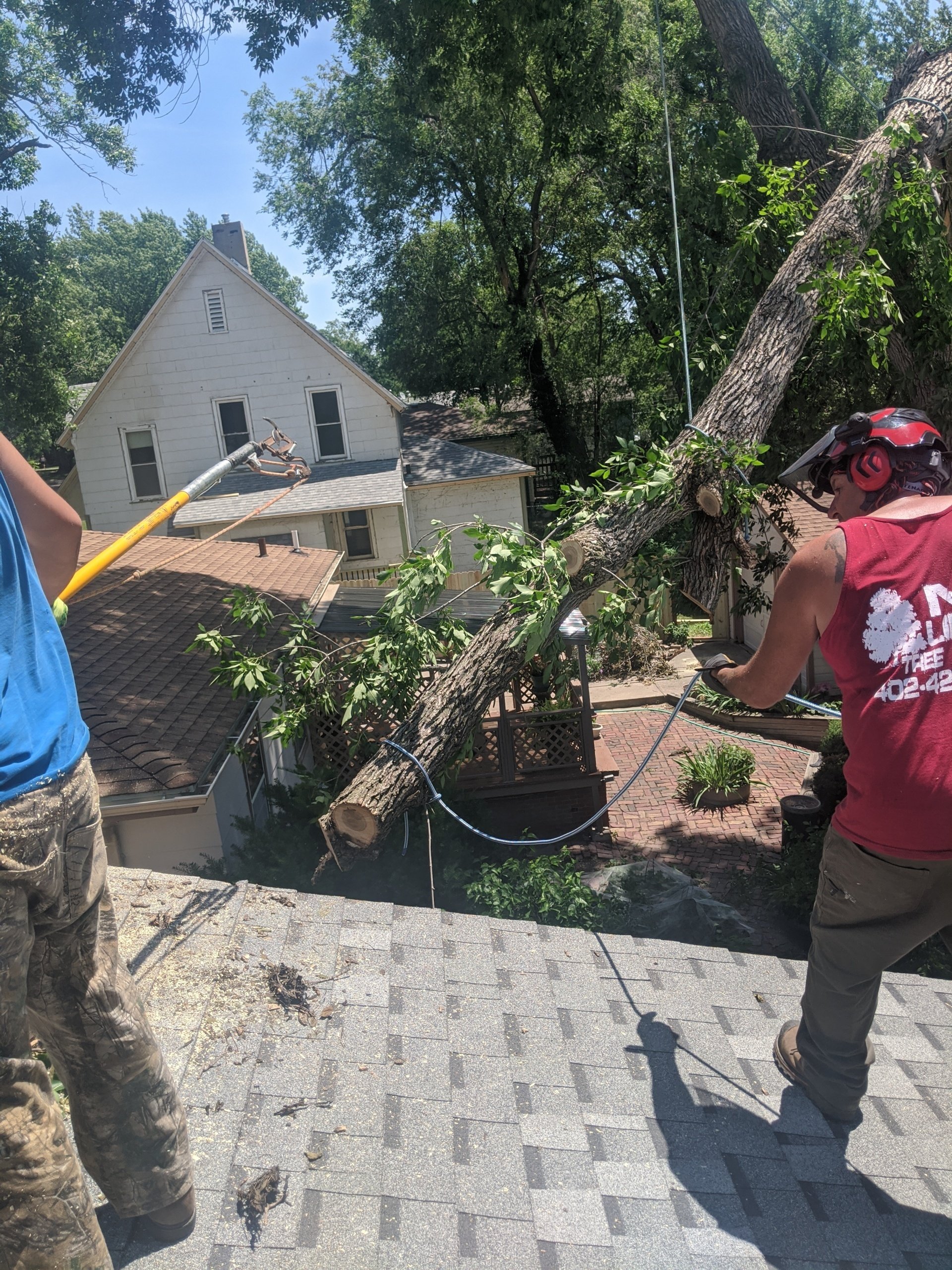 No Limits Tree Service Gallery | Gretna, NE | Lincoln, NE