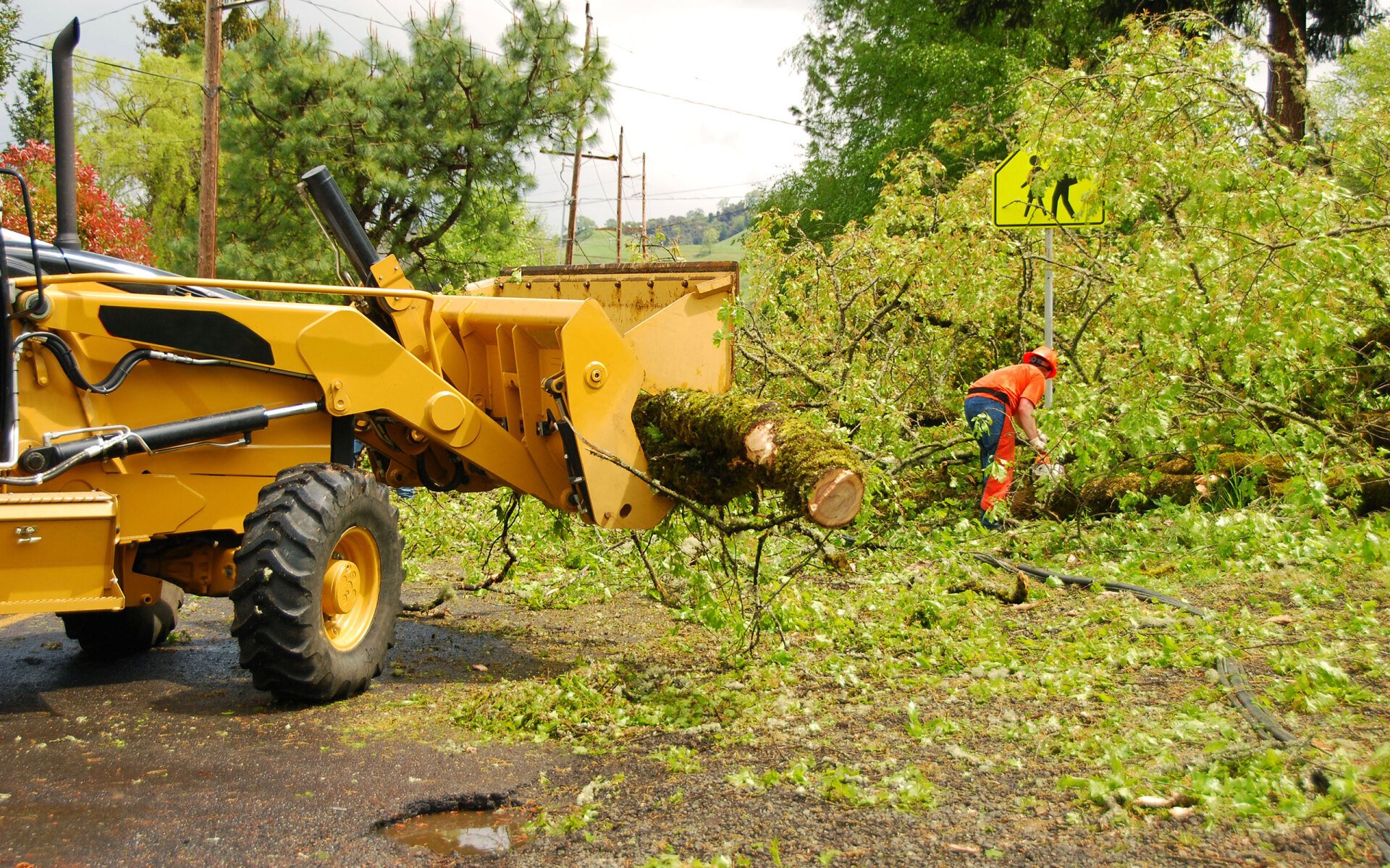 No Limits Tree Service | Tree Removal | Gretna, NE | Lincoln, NE